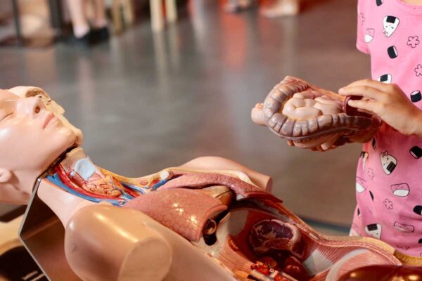 The Anatomy of a Good Flip - Tactical Arbitrage Blog